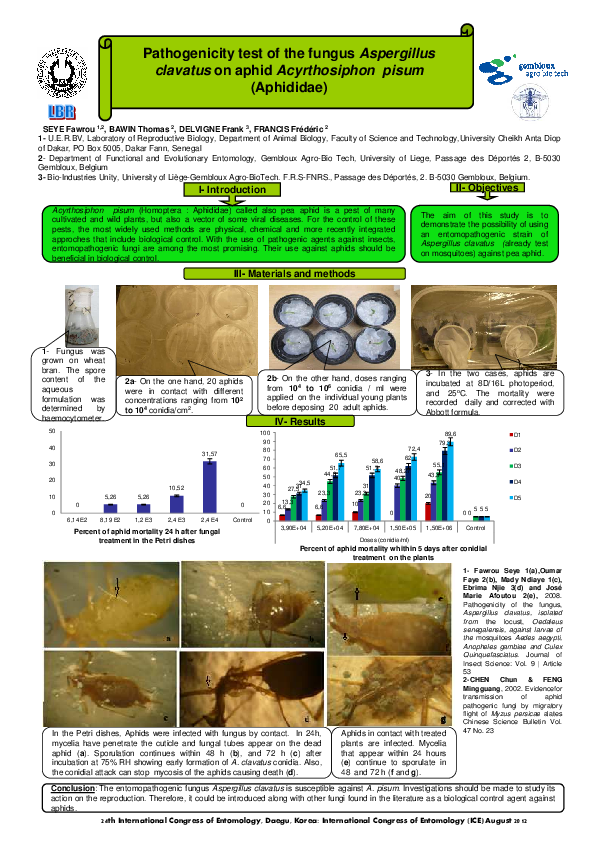 (PDF) Pathogenicity test of the fungus Aspergillus clavatus on aphid ...