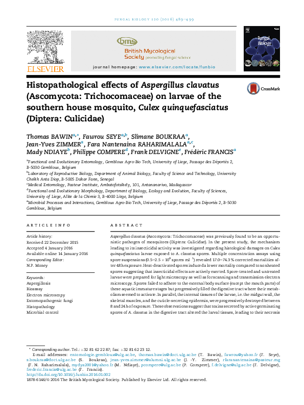 (PDF) Histopathological effects of Aspergillus clavatus (Ascomycota ...