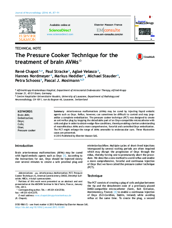 (PDF) The Pressure Cooker Technique for the treatment of brain AVMs