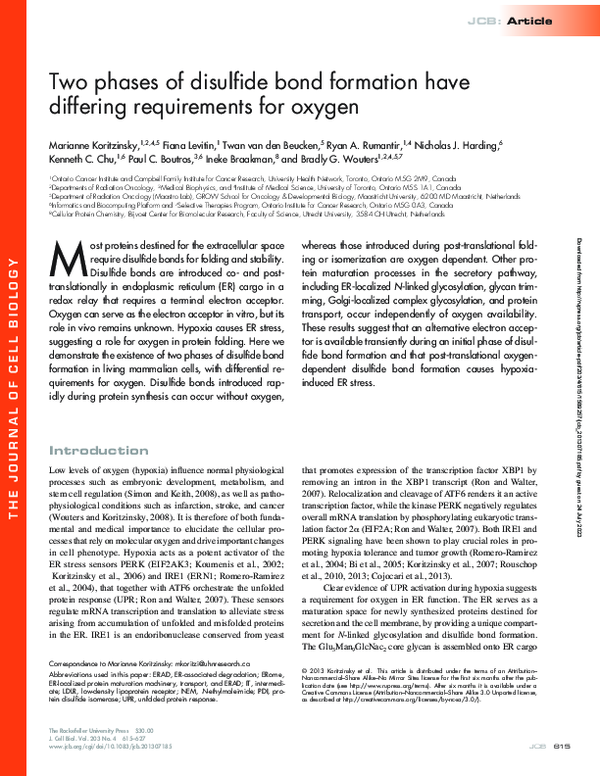 (PDF) Two phases of disulfide bond formation have differing ...