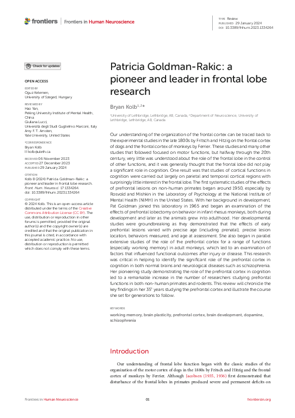 (PDF) Patricia Goldman-Rakic: a pioneer and leader in frontal lobe research