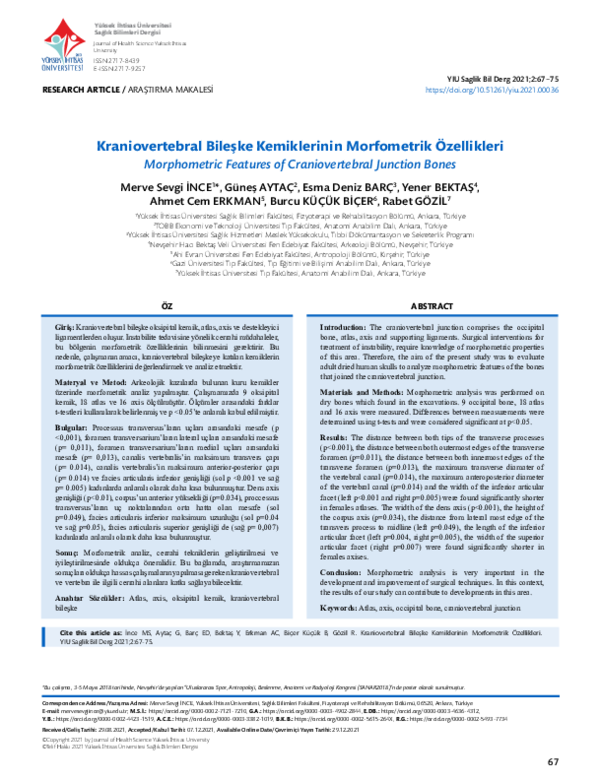 (PDF) Kraniovertebral Bileşke Kemiklerinin Morfometrik Özellikleri