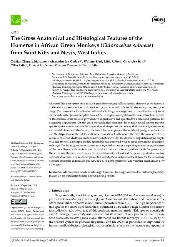 (PDF) The Gross Anatomical and Histological Features of the Humerus in ...