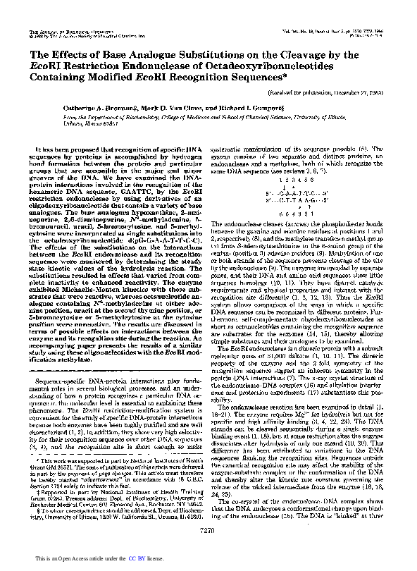 (PDF) The effects of base analogue substitutions on the cleavage by the ...