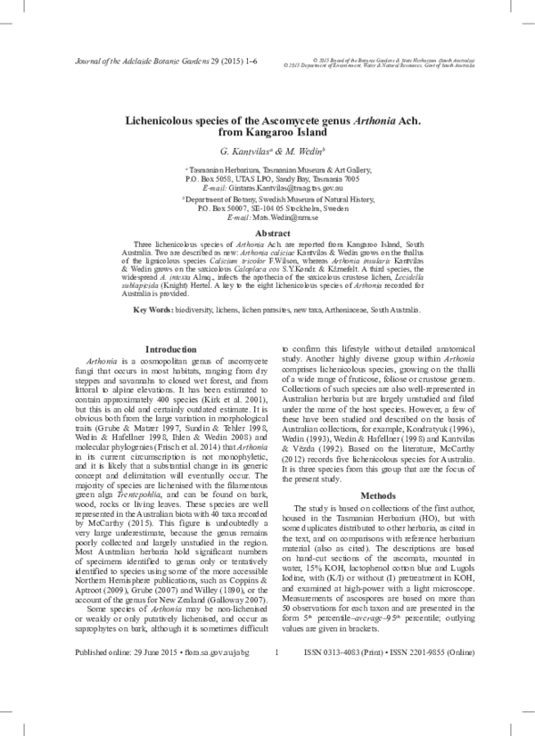 (PDF) Lichenicolous species of the Ascomycete genus Arthonia Ach. from ...