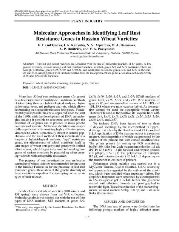 (PDF) Molecular approaches in identifying leaf rust resistance genes in ...