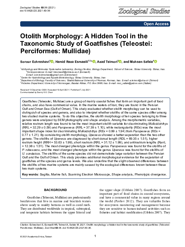 (PDF) Otolith Morphology: A Hidden Tool in the Taxonomic Study of ...