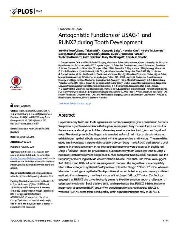 (PDF) Antagonistic Functions of USAG-1 and RUNX2 during Tooth Development