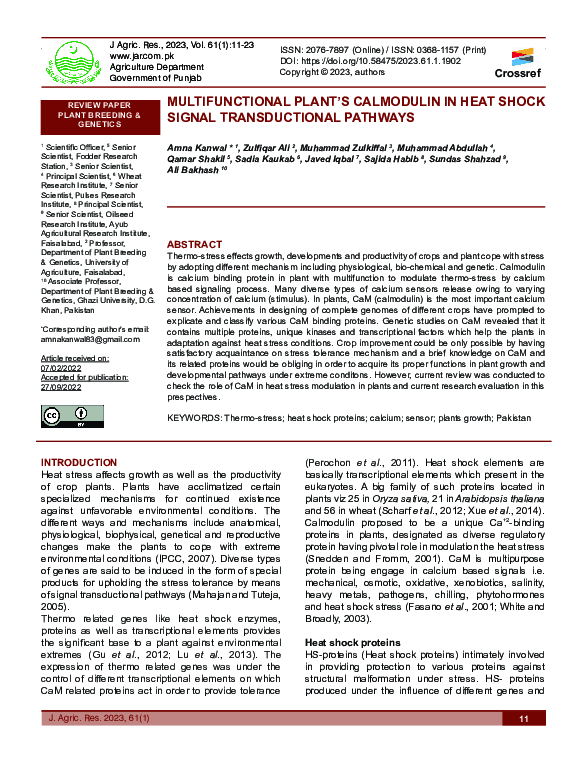 (PDF) Multifunctional Plant’s Calmodulin in Heat Shock Signal ...