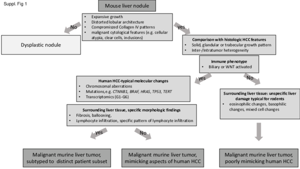 (PDF) Supplementary figure 1 from Characterization of HCC Mouse Models ...