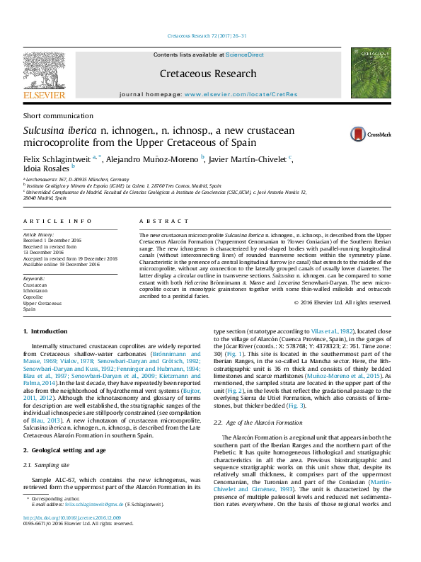 (PDF) Sulcusina iberica n. ichnogen., n. ichnosp., a new crustacean ...