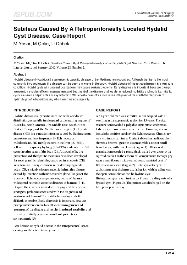 (PDF) Subileus Caused By A Retroperitoneally Located Hydatid Cyst ...