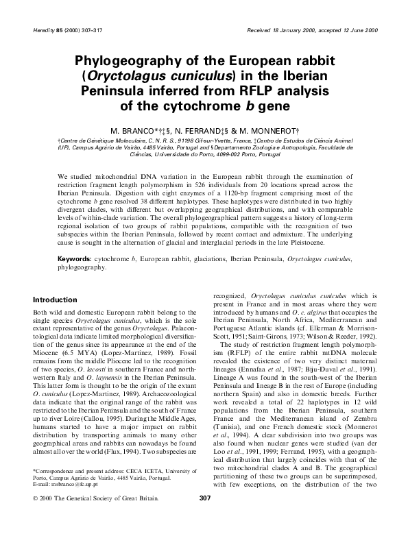 (PDF) Phylogeography of the European rabbit (Oryctolagus cuniculus) in ...
