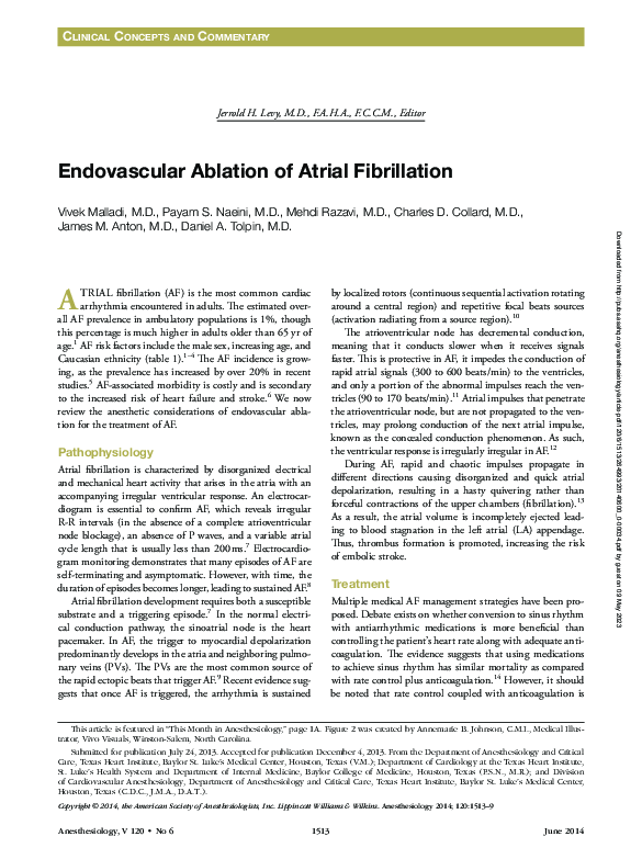 (PDF) Endovascular Ablation of Atrial Fibrillation