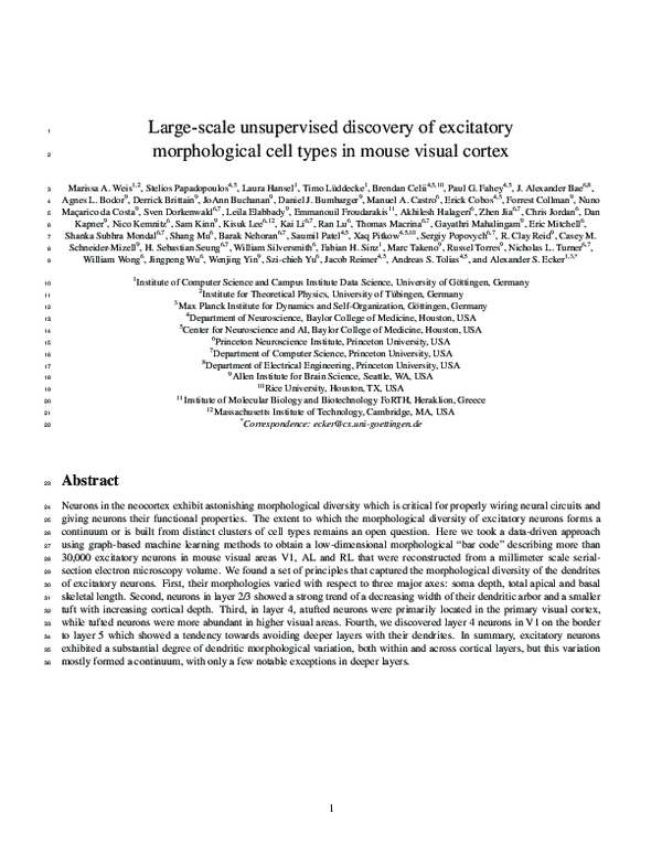 (PDF) Large-scale unsupervised discovery of excitatory morphological cell types in mouse visual ...