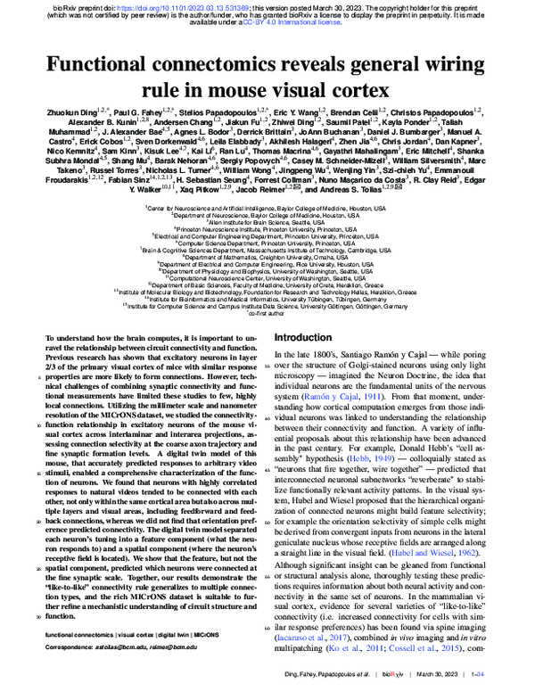 (PDF) Functional connectomics reveals general wiring rule in mouse visual cortex | Szi-Chieh Yu ...