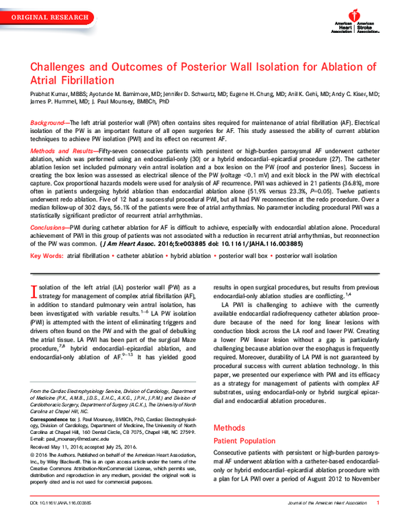 (PDF) Challenges and Outcomes of Posterior Wall Isolation for Ablation ...