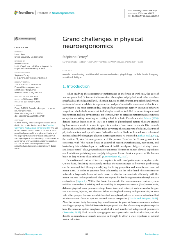 (PDF) Grand challenges in physical neuroergonomics