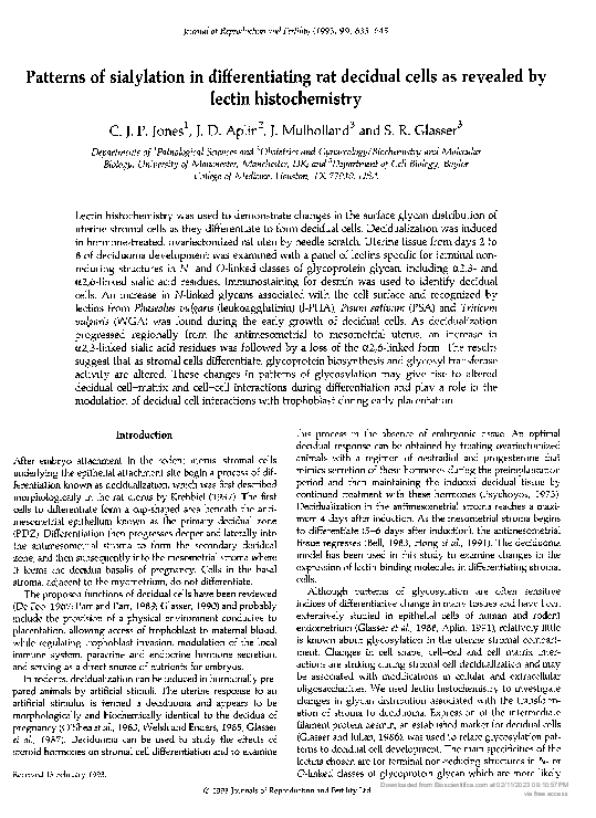 (PDF) Patterns of sialylation in differentiating rat decidual cells as ...