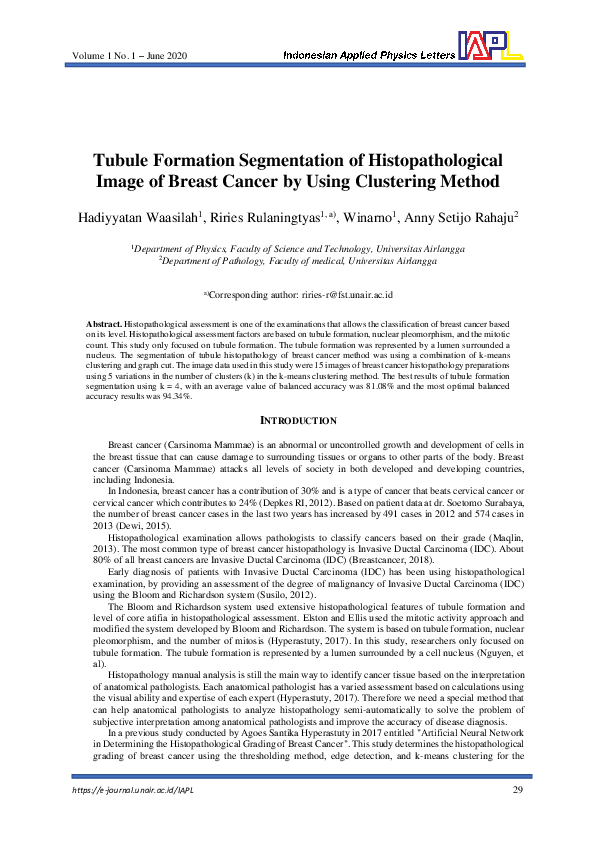 (PDF) Tubule Formation Segmentation Of Histopathological Image Of Breast Cancer By Using ...