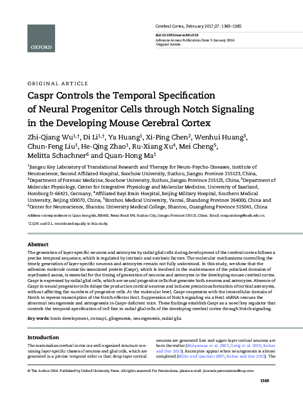 (PDF) Caspr Controls the Temporal Specification of Neural Progenitor ...