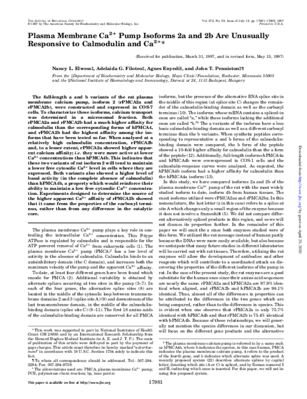 (PDF) Plasma Membrane Ca2+ Pump Isoforms 2a and 2b Are Unusually ...