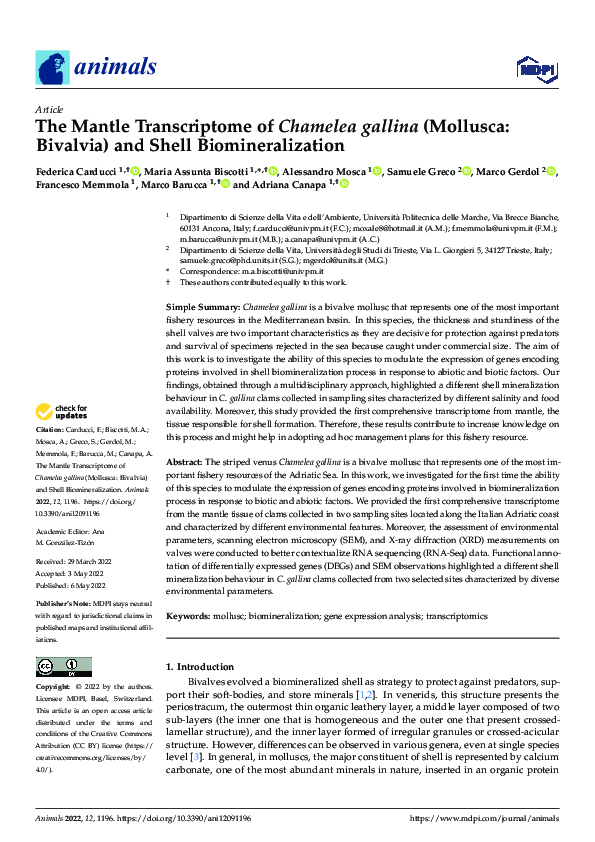 (PDF) The Mantle Transcriptome of Chamelea gallina (Mollusca: Bivalvia ...