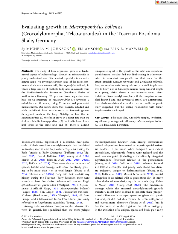(PDF) Evaluating growth in Macrospondylus bollensis (Crocodylomorpha ...