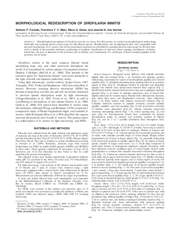 (PDF) Morphological Redescription of Dirofilaria immitis | Elane Guerreiro Giese - Academia.edu
