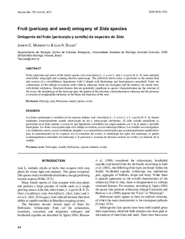 (PDF) Fruit (pericarp and seed) ontogeny of Sida species Ontogenia del ...
