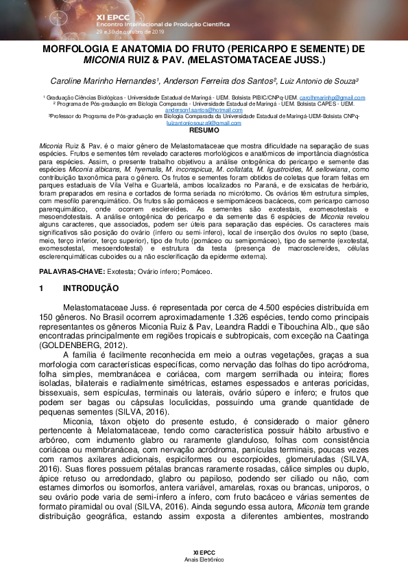(PDF) Morfologia e Anatomia Do Fruto (Pericarpo e Semente) De Miconia ...