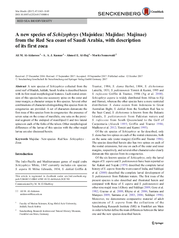 (PDF) A new species of Schizophrys (Majoidea: Majidae: Majinae) from ...