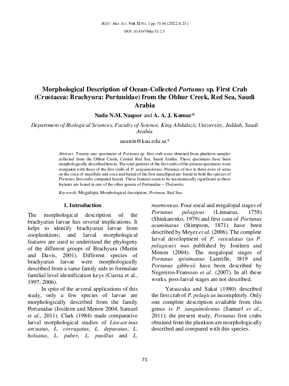 (PDF) Morphological Description of Ocean-Collected Portunus sp. First ...