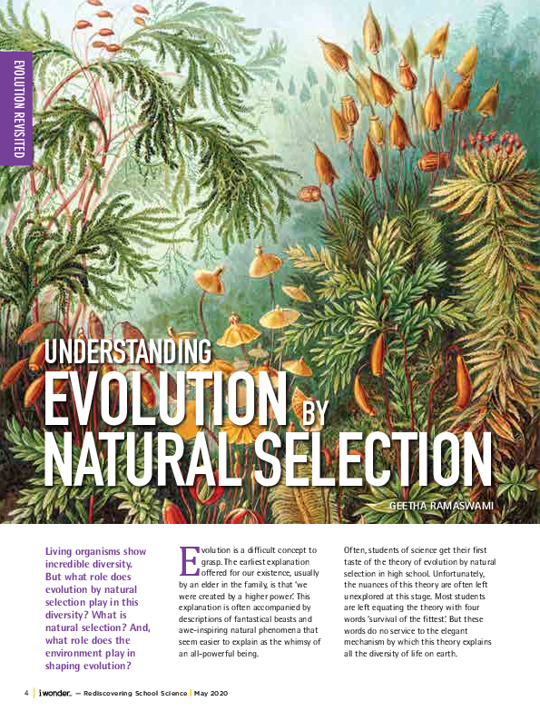 (PDF) Understanding evolution by natural selection