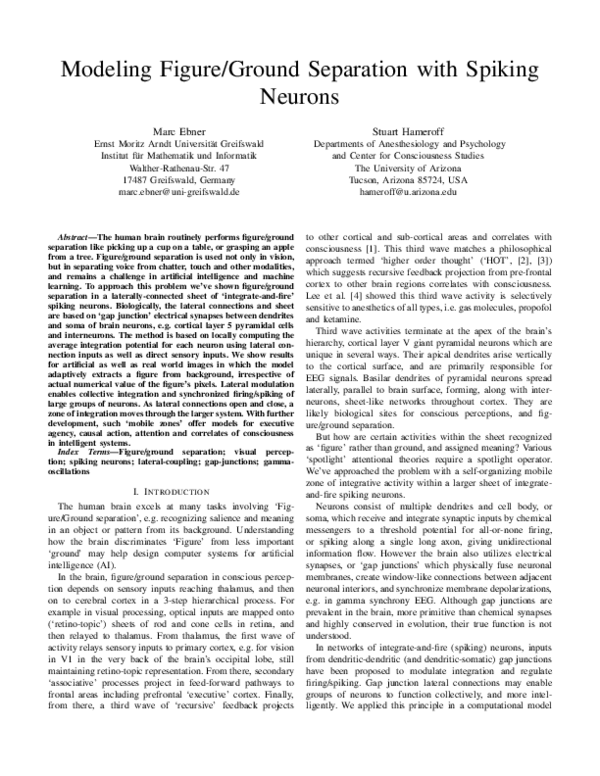 (PDF) 5. Modeling figure/ground separation with spiking neurons