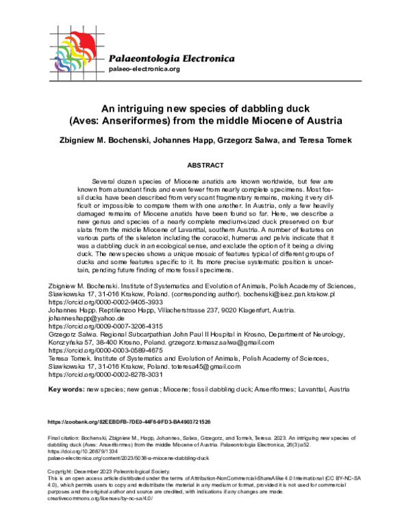 (PDF) An intriguing new species of dabbling duck (Aves: Anseriformes ...