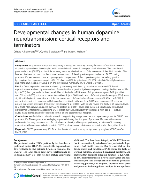 (PDF) Developmental changes in human dopamine neurotransmission ...
