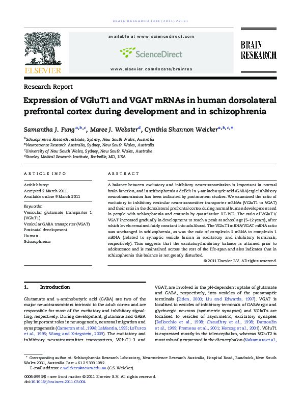 (PDF) Expression of VGluT1 and VGAT mRNAs in human dorsolateral ...