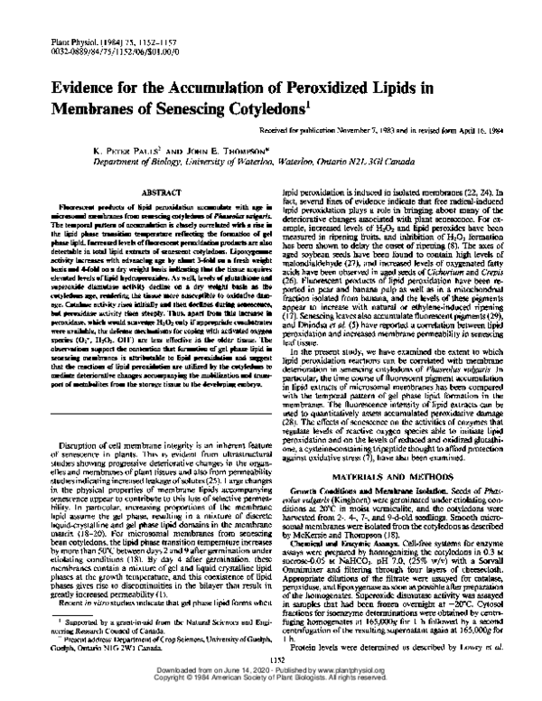 (PDF) Evidence for the Accumulation of Peroxidized Lipids in Membranes of Senescing Cotyledons ...