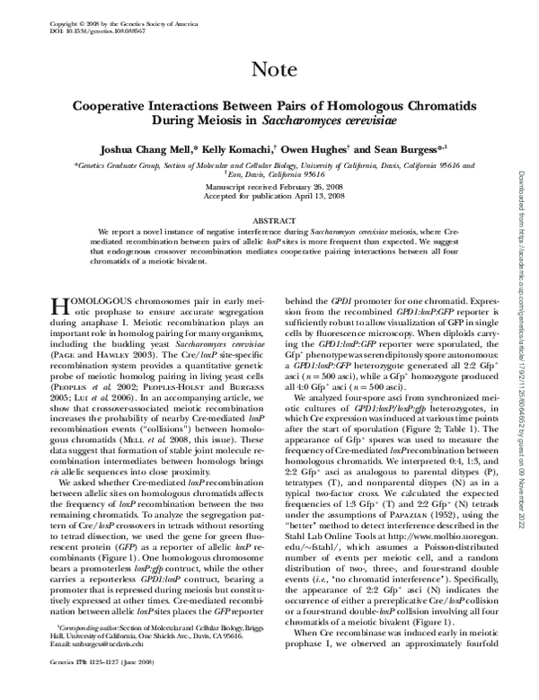 (PDF) Cooperative Interactions Between Pairs of Homologous Chromatids ...