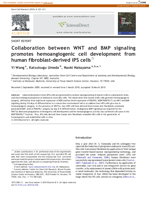 (PDF) Collaboration between WNT and BMP signaling promotes ...