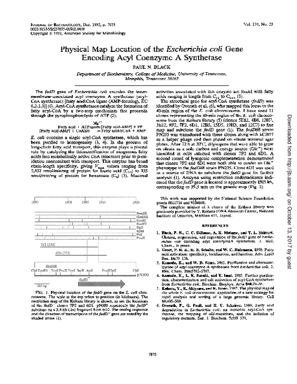 (PDF) Physical map location of the Escherichia coli gene encoding acyl ...