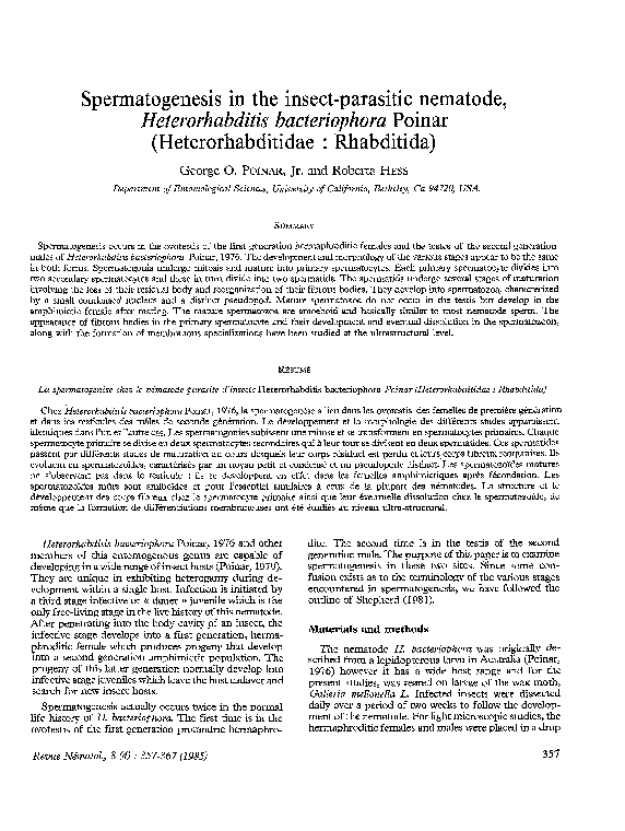 (PDF) Spermatogenesis in the insect-parasitic nematode, Heterorhabditis ...