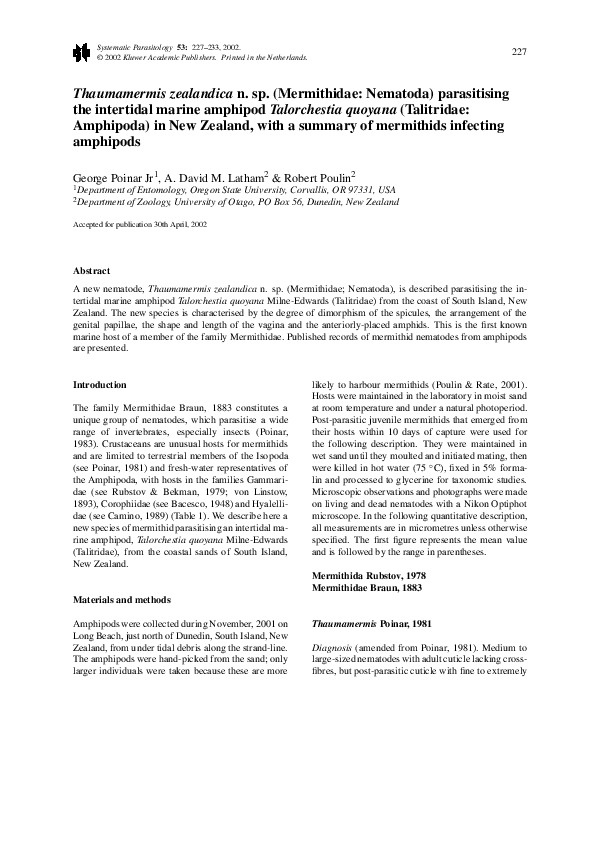 (PDF) Thaumamermis zealandica n. sp. (Mermithidae: Nematoda ...