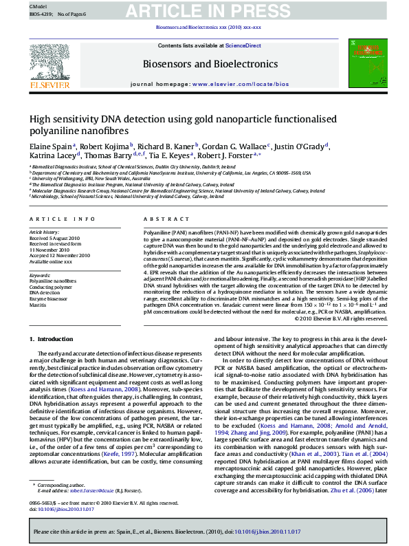 (PDF) High sensitivity DNA detection using gold nanoparticle ...