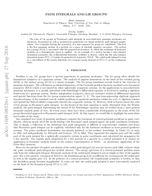 (PDF) Path Integrals and Lie Groups