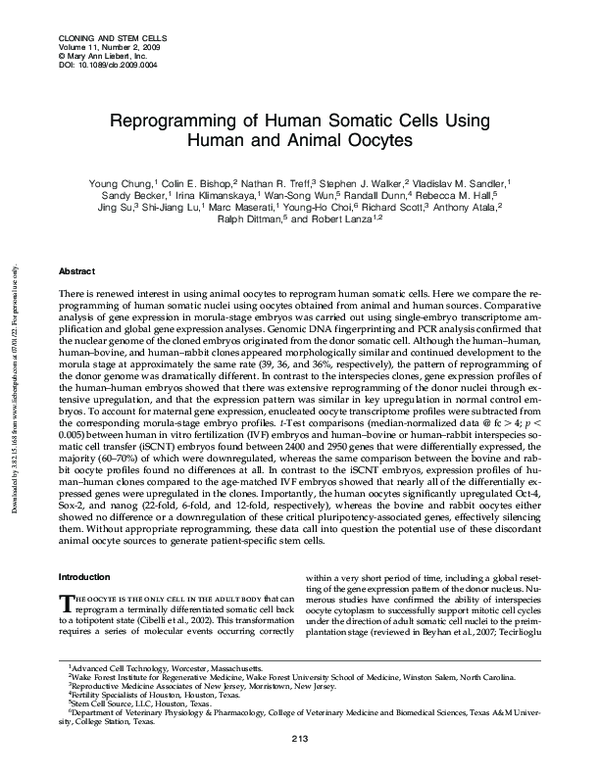 (PDF) Reprogramming of Human Somatic Cells Using Human and Animal Oocytes