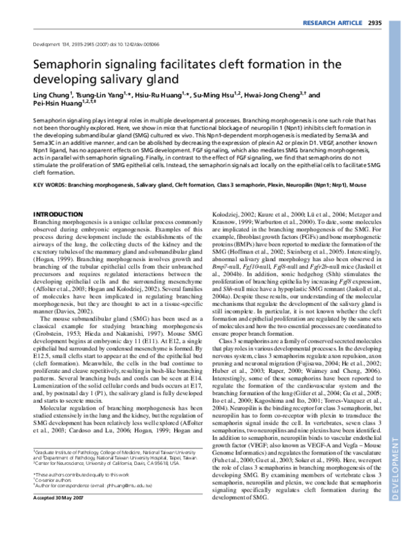 (PDF) Semaphorin signaling facilitates cleft formation in the ...
