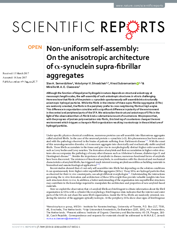 (PDF) Non-uniform self-assembly: On the anisotropic architecture of α ...