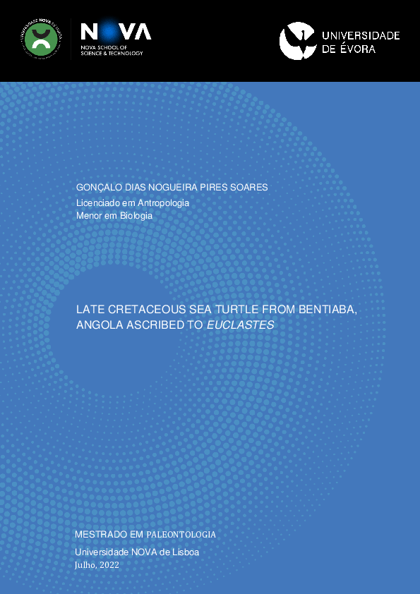 (PDF) A Late Cretaceous Sea Turtle from Bentiaba, Angola ascribed to ...